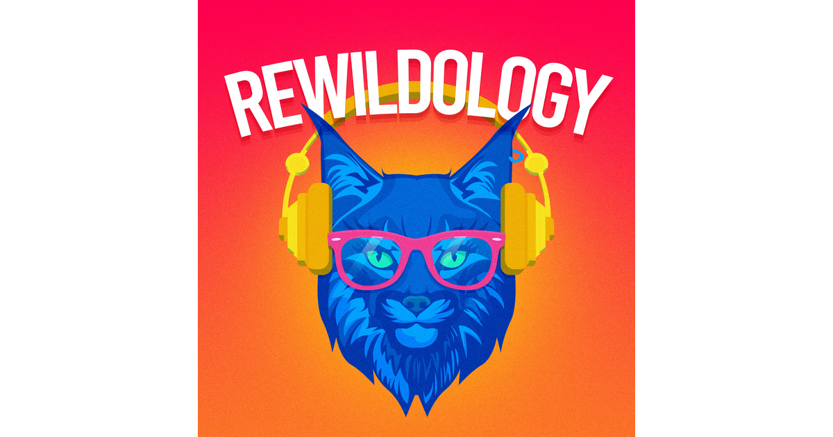 #184 | The Magical & Mysterious Lives of Octopuses with David Scheel ...