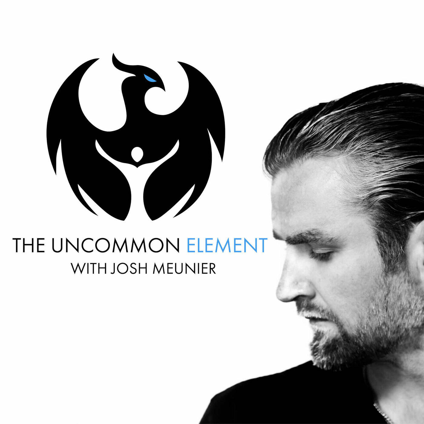 The Uncommon Element IHeart