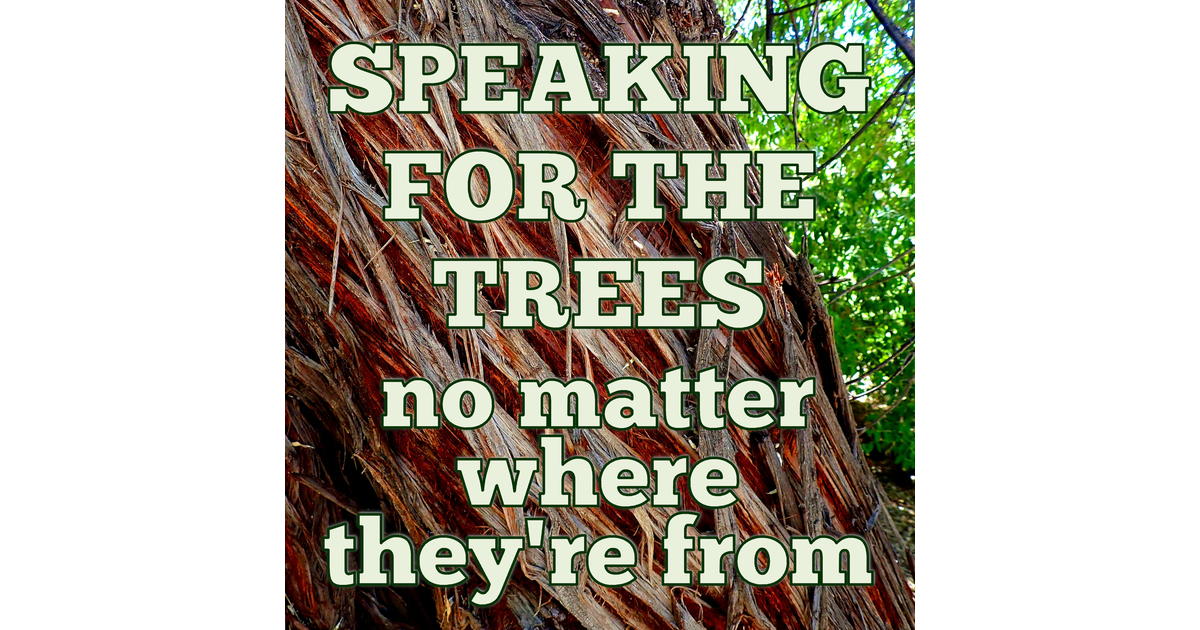 Speaking for the Trees, No Matter Where They're From | iHeart