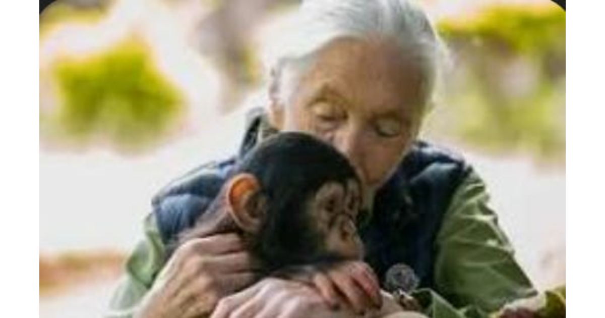 My 1998 Conversation with Jane Goodall - Talk Cocktail | iHeart