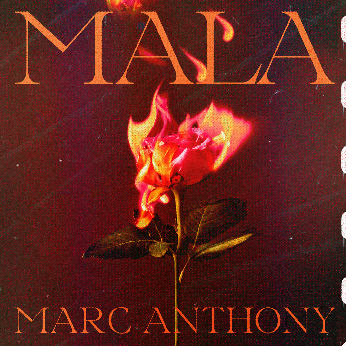 Stream Free Songs by Marc Anthony & Similar Artists | iHeart
